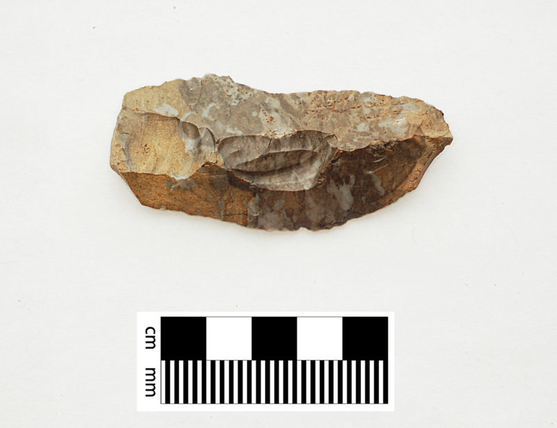 ASI Heritage - Left Handed Stone Knife